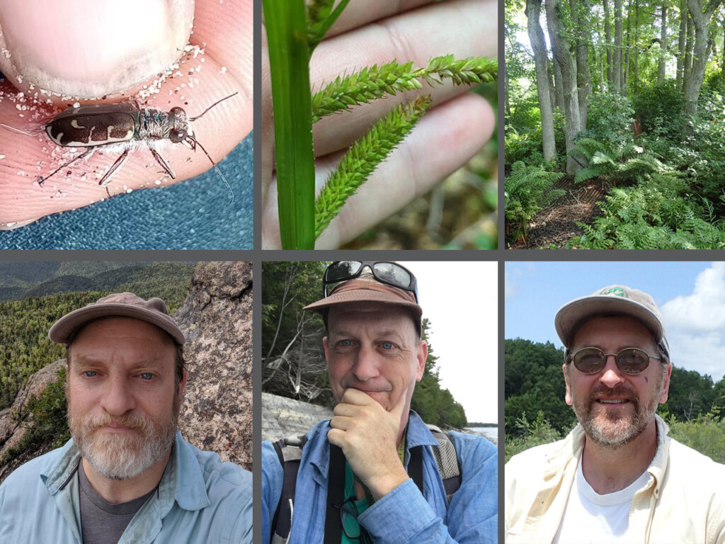 Rare Species and Natural Communities of Fishers Island – Henry L ...
