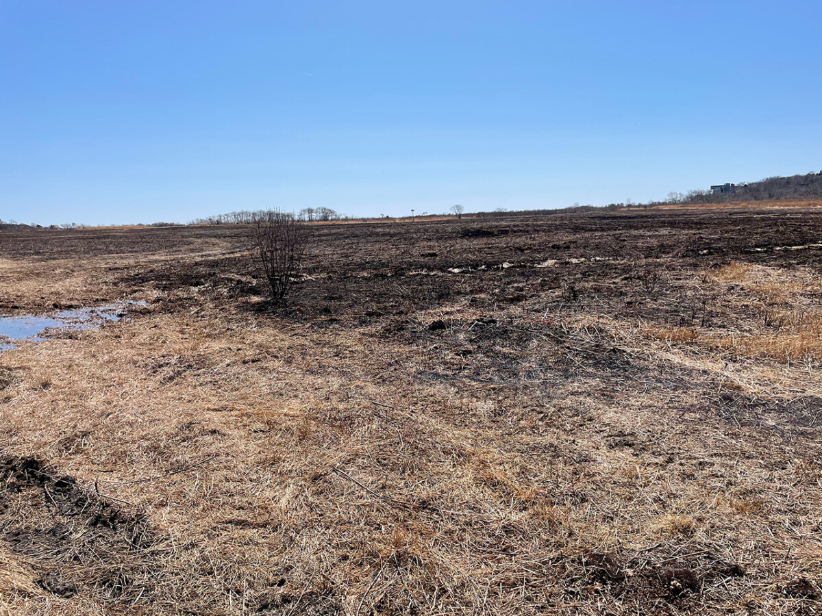 Walking Paths at Middle Farms: Balancing Recreation and Conservation ...