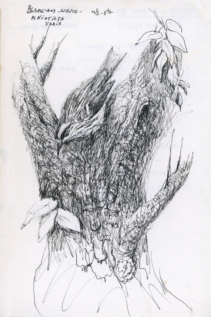 2023 Annual Exhibition: The Sketchbooks of Charlie Ferguson – Henry L ...