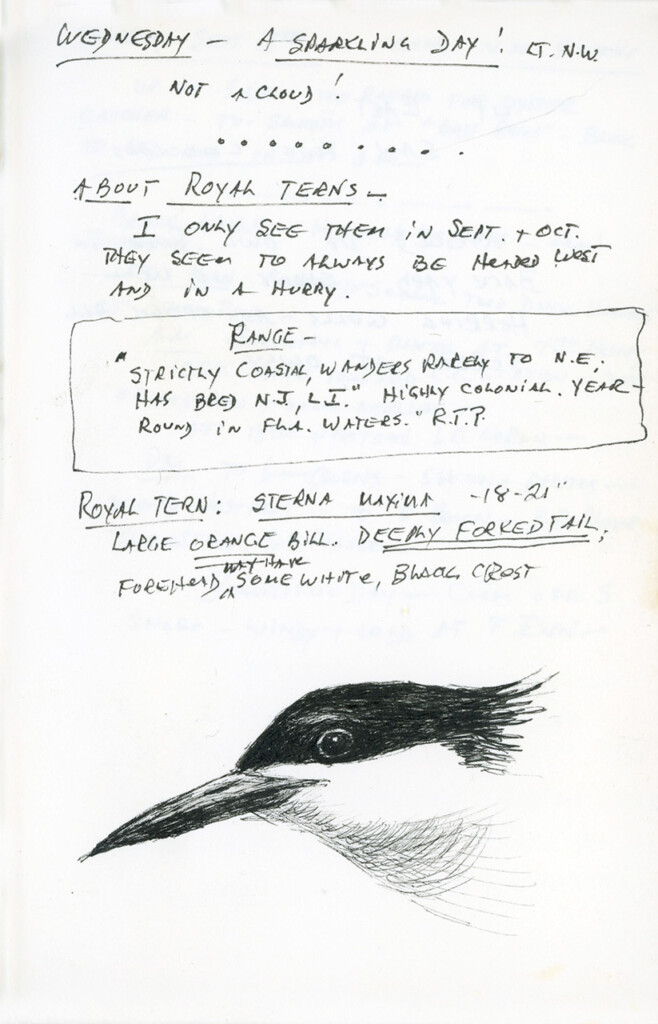 2023 Annual Exhibition: The Sketchbooks of Charlie Ferguson – Henry L ...