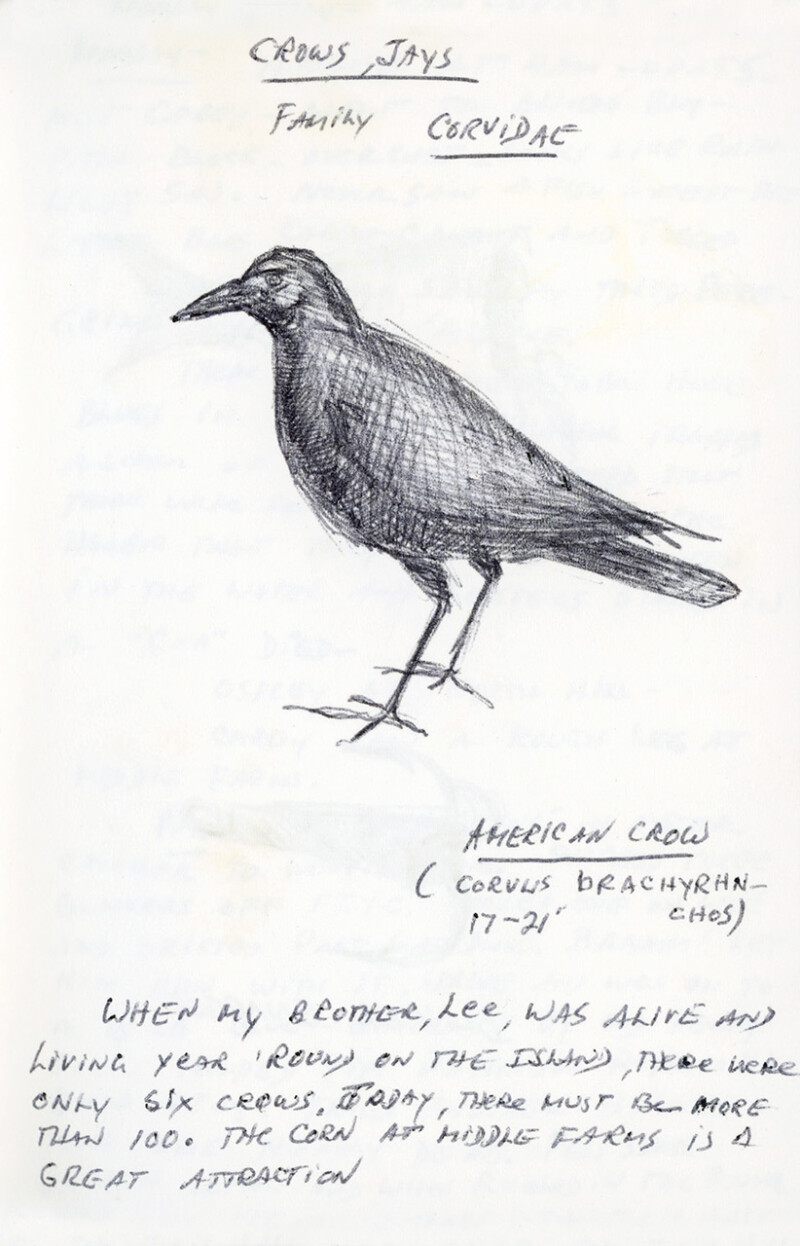 2023 Annual Exhibition: The Sketchbooks of Charlie Ferguson – Henry L ...